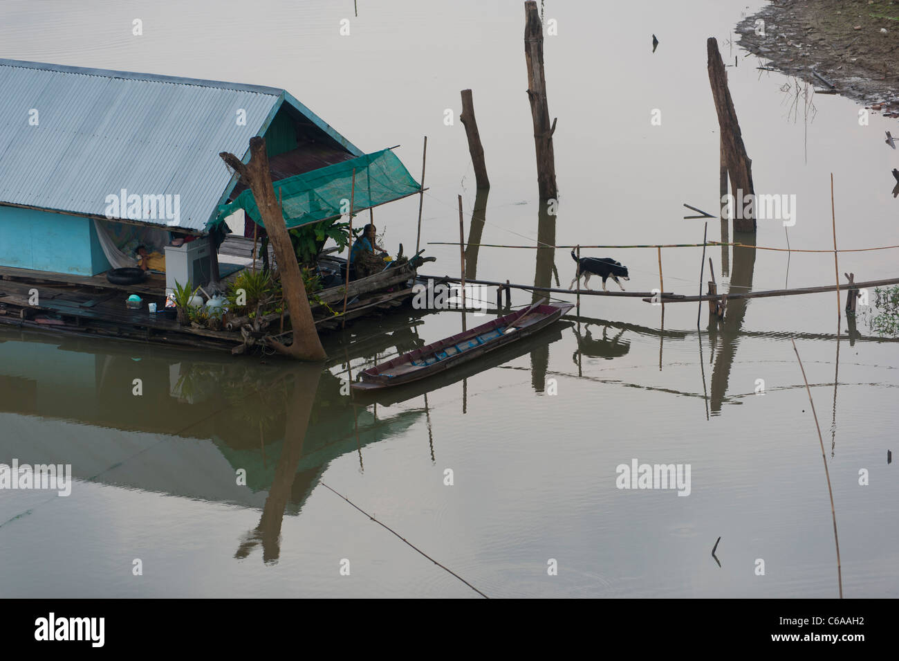 A dog leaves the floating family home along the banks of on the river ...