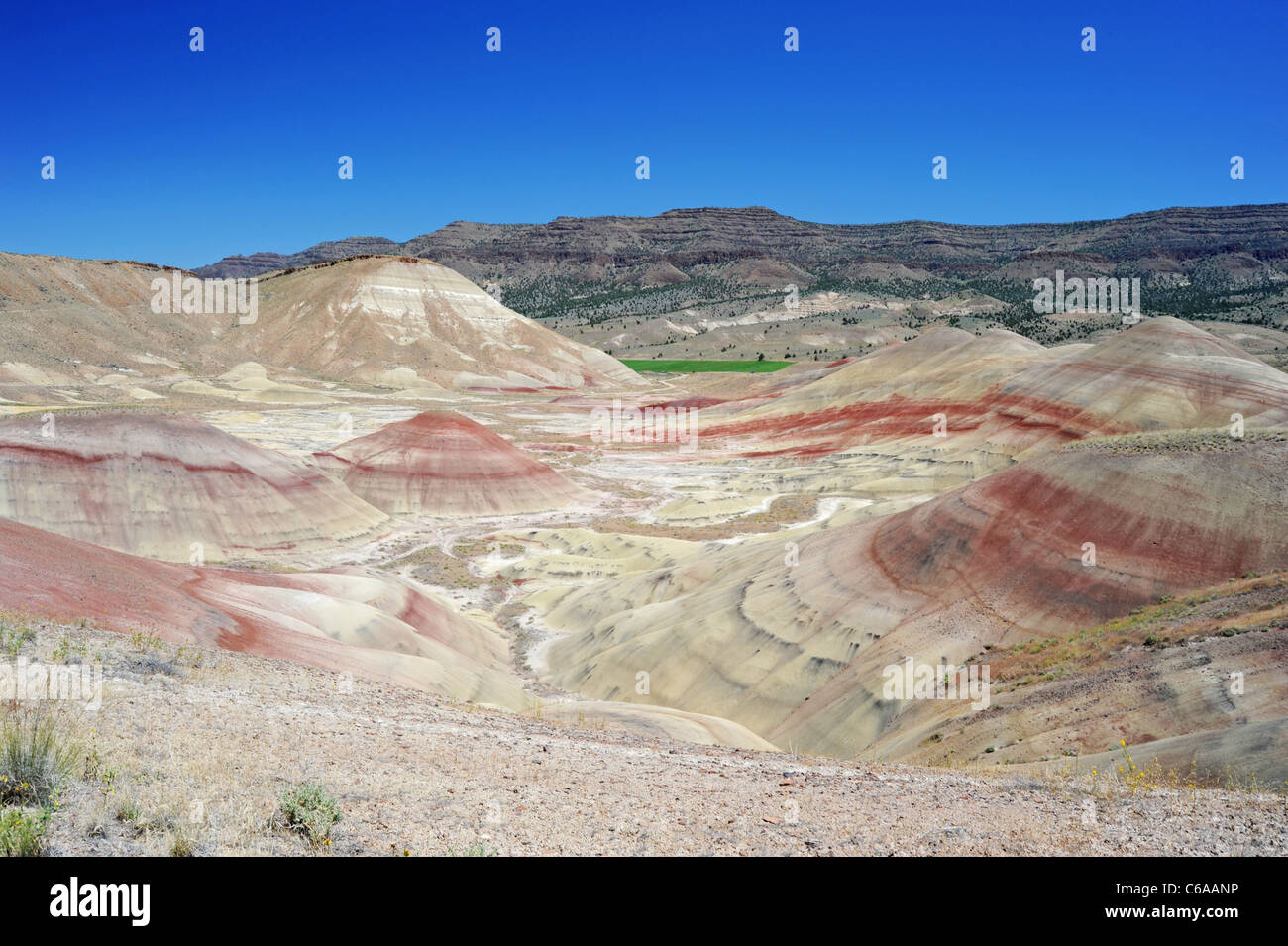 Fossils fossil usa hi-res stock photography and images - Alamy