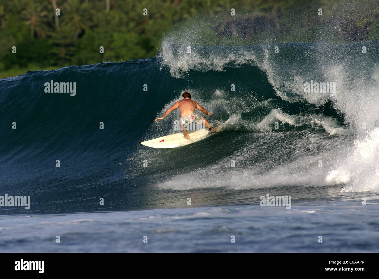 Surfer riding a wave. Sorake Beach, Lagundri Bay, Nias, Sumatra ...
