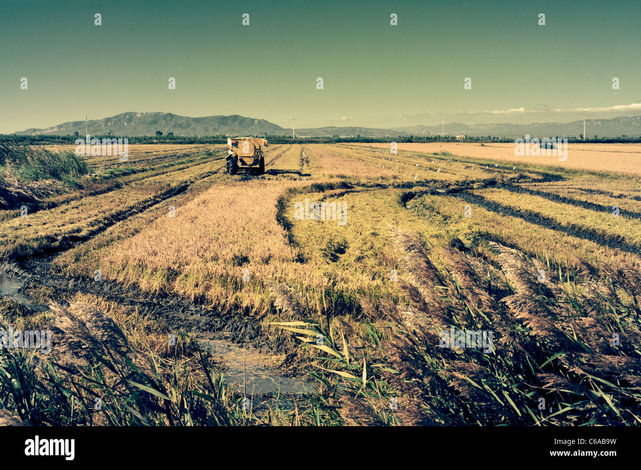 Delta harvester hi-res stock photography and images - Alamy