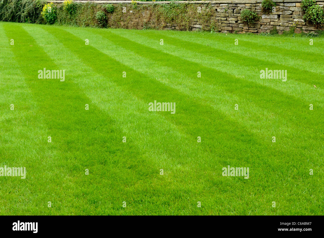 Lawn stripes hi-res stock photography and images - Alamy