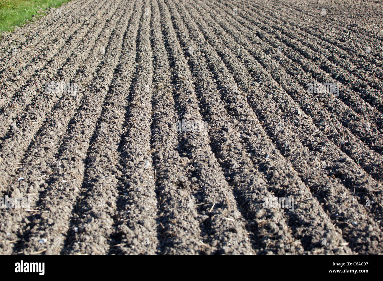 Freshly Plowed Field Stock Photo - Alamy