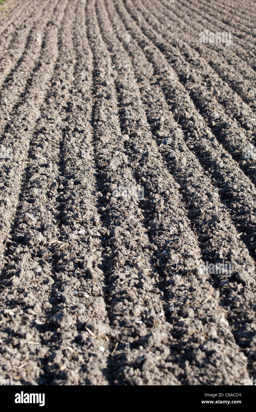 Freshly prepared field hi-res stock photography and images - Alamy