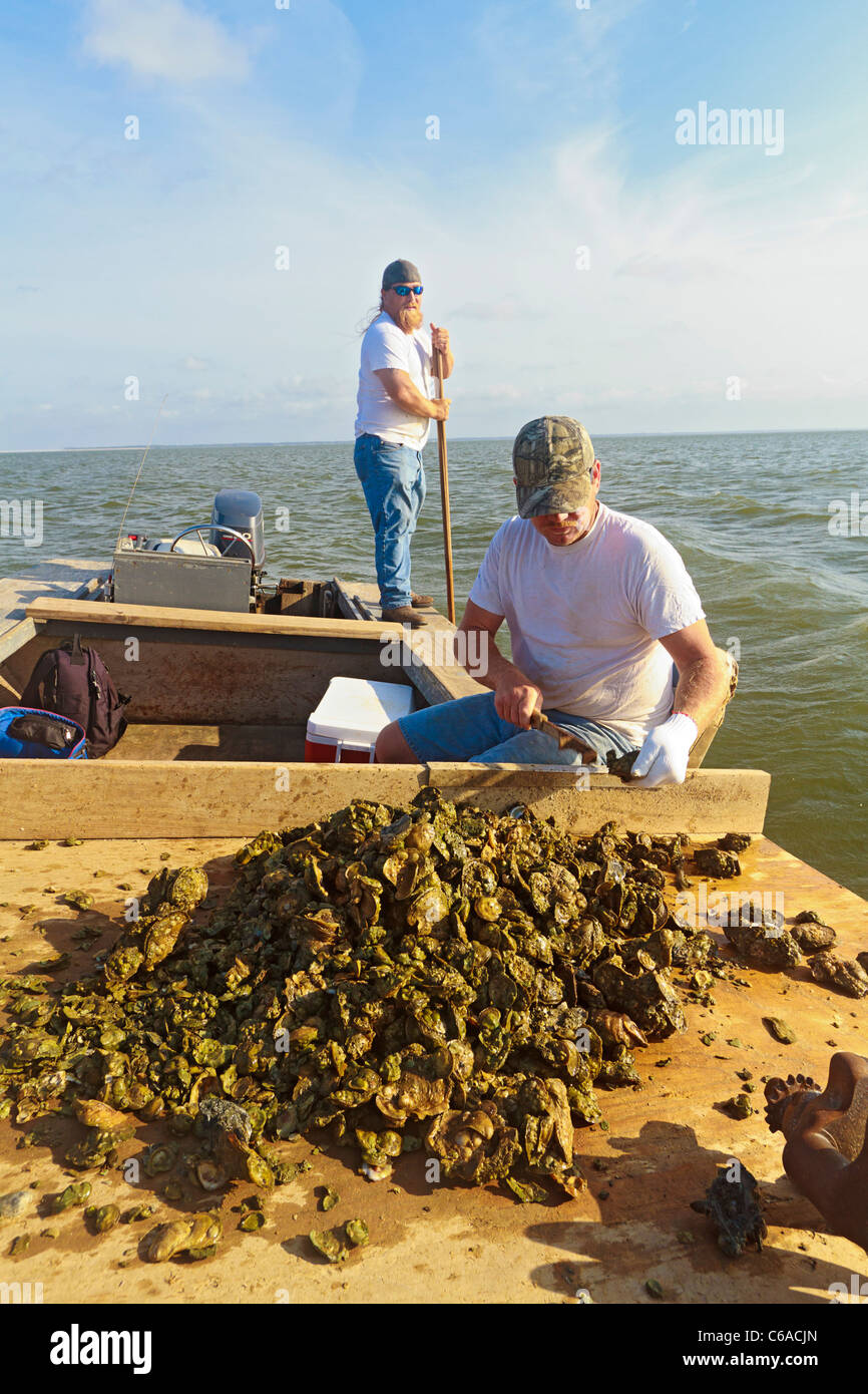 Oyster tonger hi-res stock photography and images - Alamy