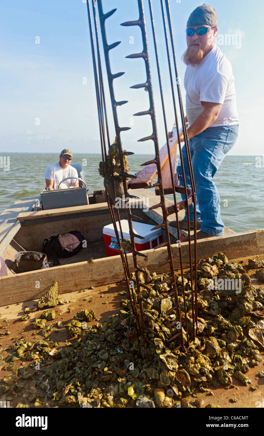 Oyster tongs hi-res stock photography and images - Alamy