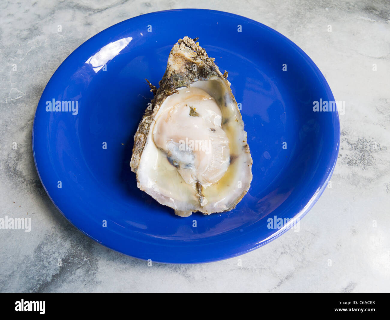 Freshly shucked hi-res stock photography and images - Alamy