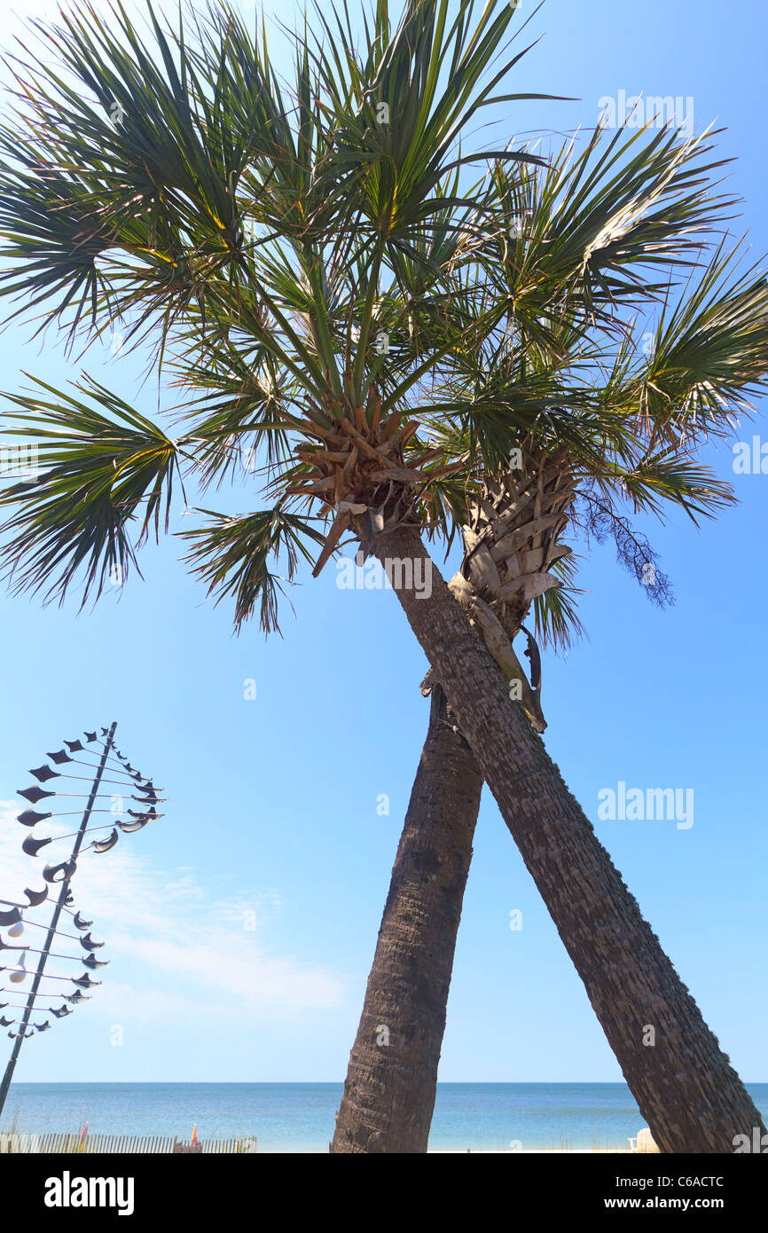 Crossed palm trees stand behind the Driftwood Inn, a Victorian style ...