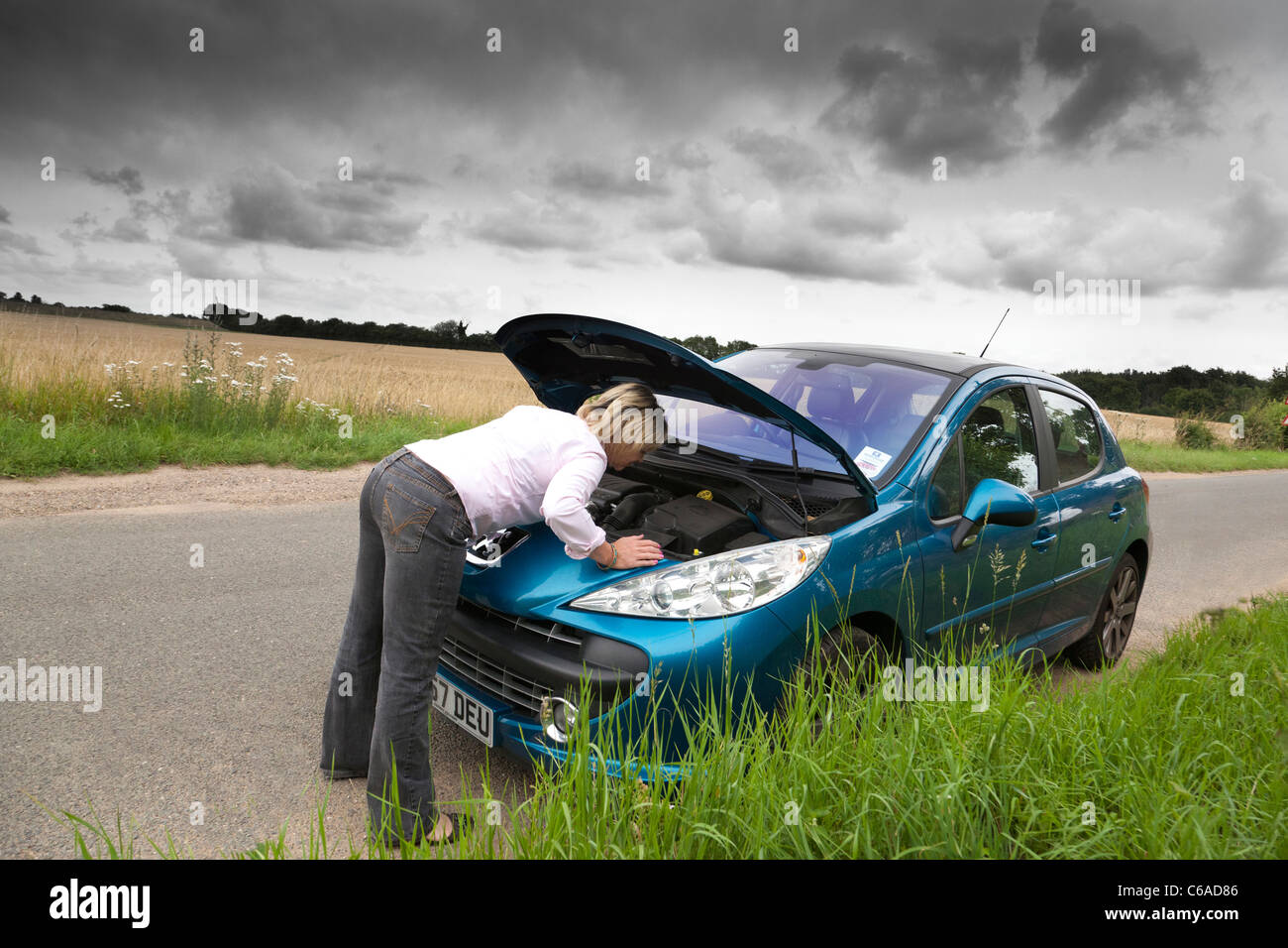 Risk Scenarios High Resolution Stock Photography and Images - Alamy
