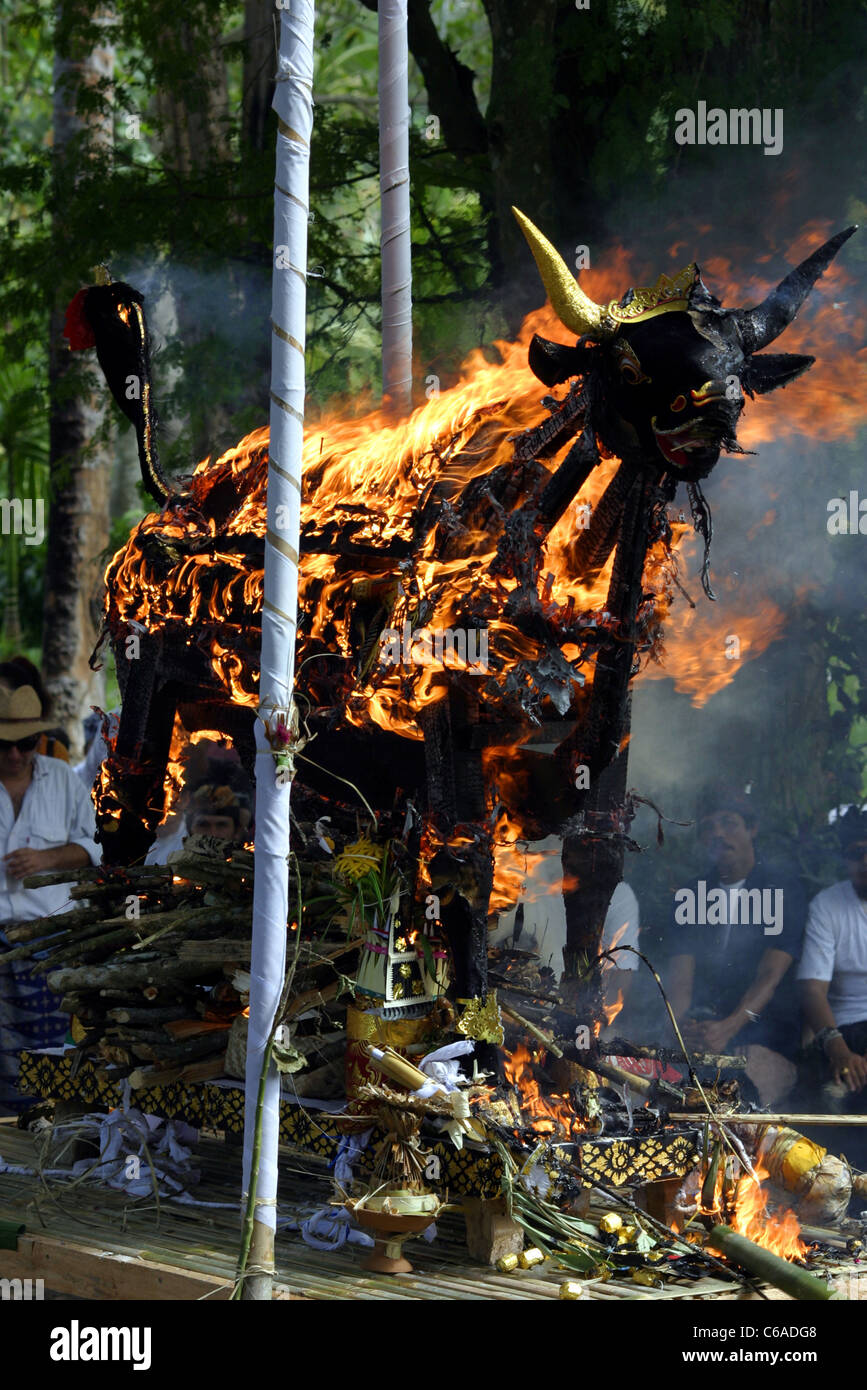 Burning bull and coffin in cremation ceremony. Ubud, Bali, Bali ...