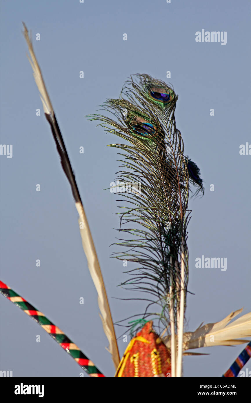 Crown of Tangsa Man, Lungchang Tribe at Namdapha Eco Cultural Festival ...