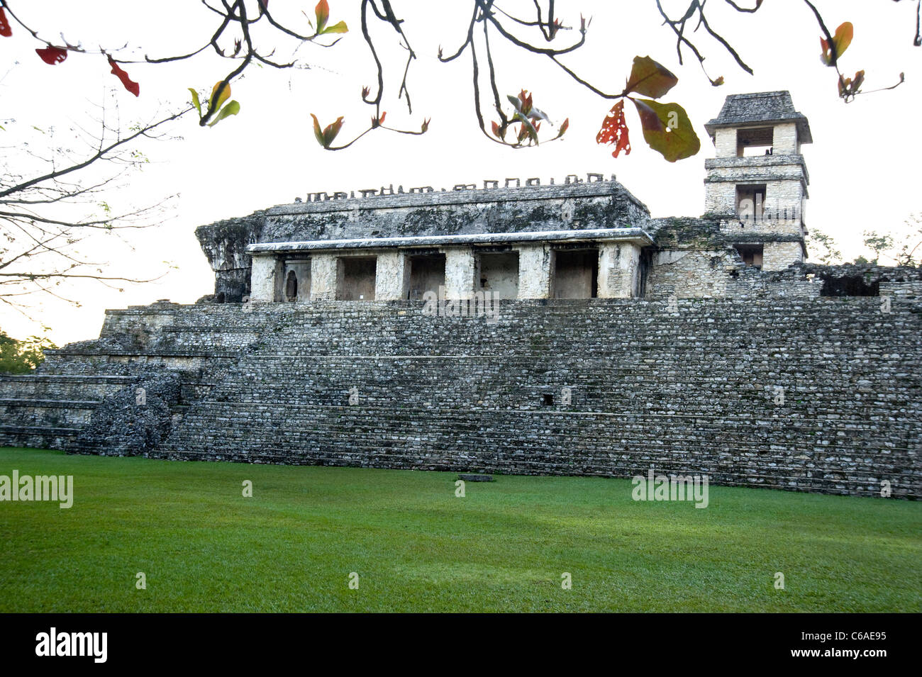 Mayan Ruins at Palenque, Mexico Stock Photo - Alamy