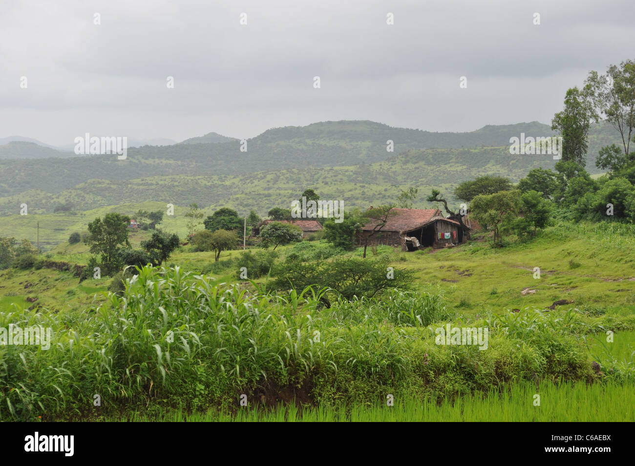 Rainy days india hi-res stock photography and images - Alamy