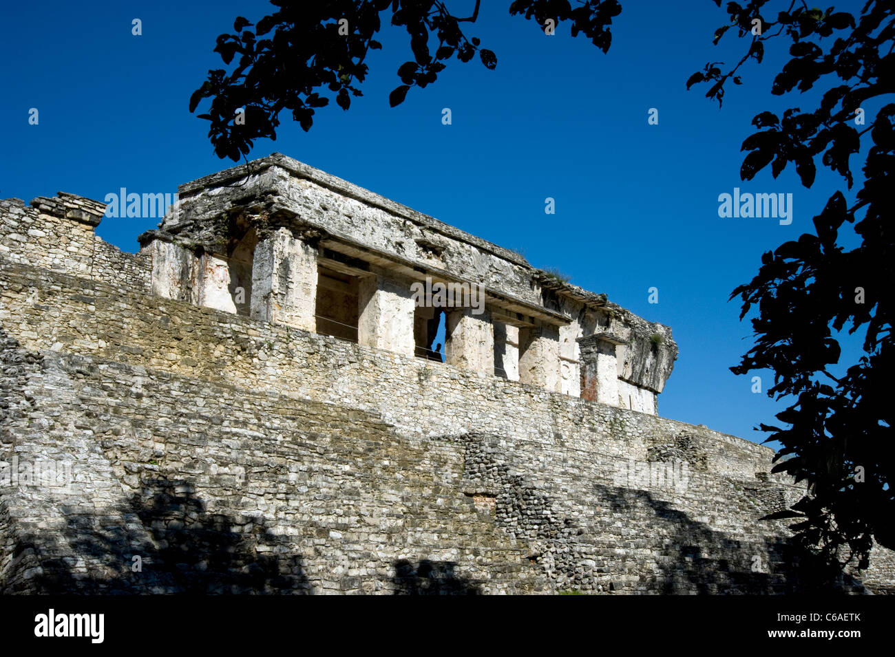 Mayan Ruins at Palenque in Mexico Stock Photo - Alamy