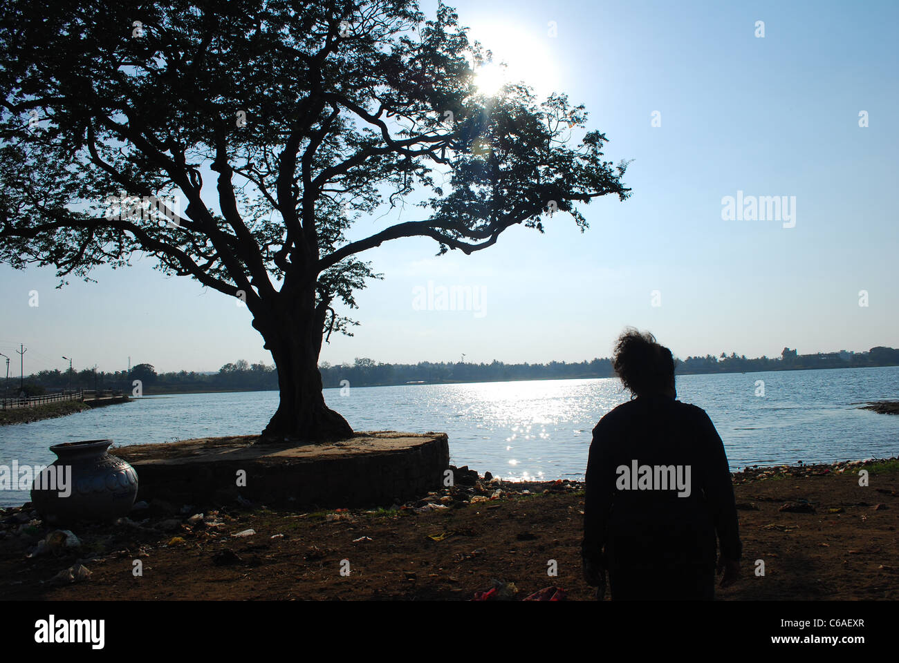 Lack of sun hi-res stock photography and images - Alamy