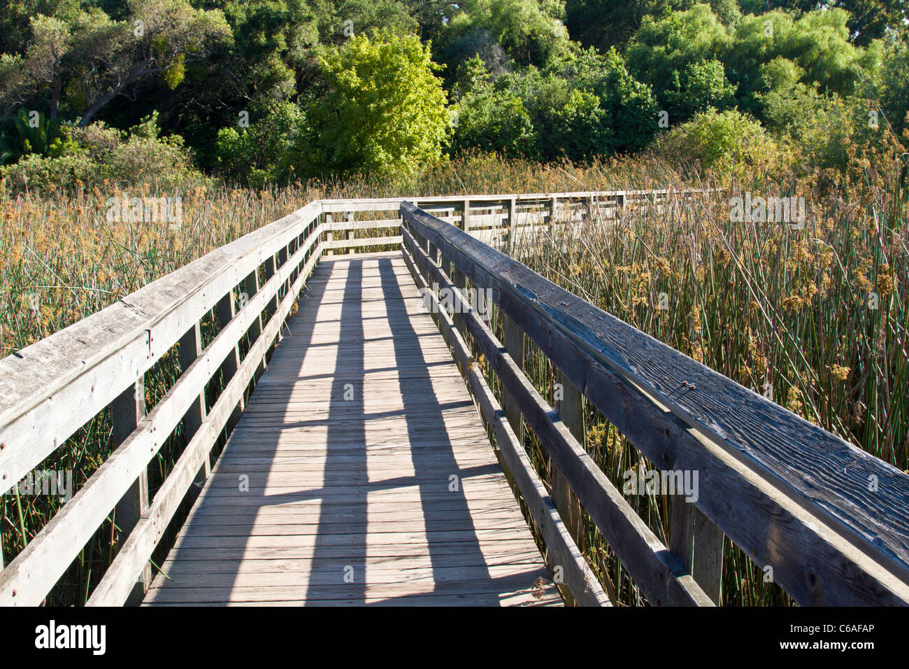Wooden footbridge across marsh at Lake Carneros in Goleta near Santa ...