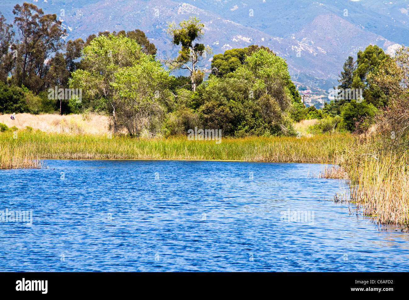 Carneros hi-res stock photography and images - Alamy