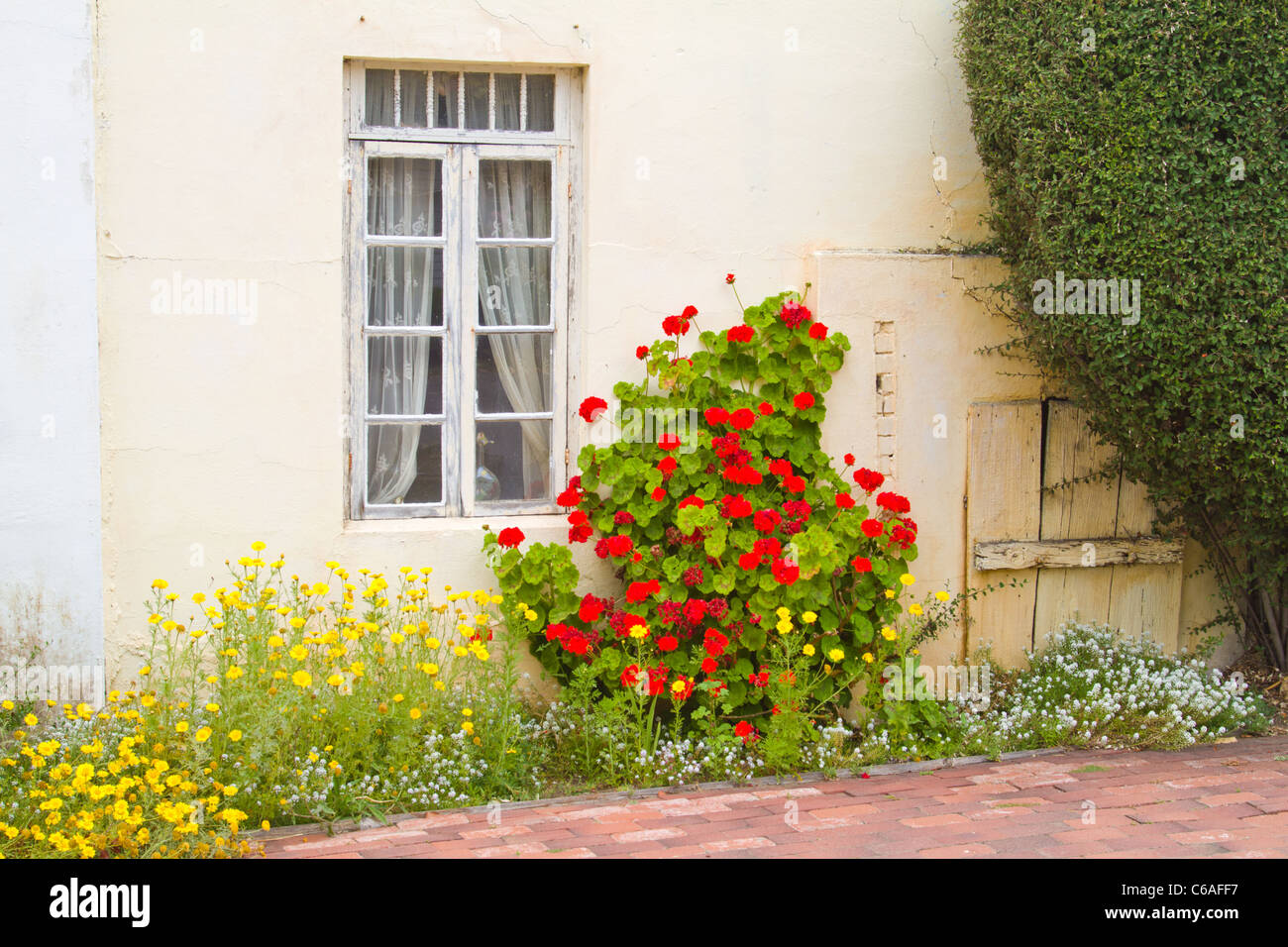View of Harmony, California Stock Photo - Alamy