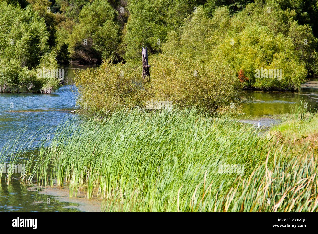 Almaden reservoir hi-res stock photography and images - Alamy