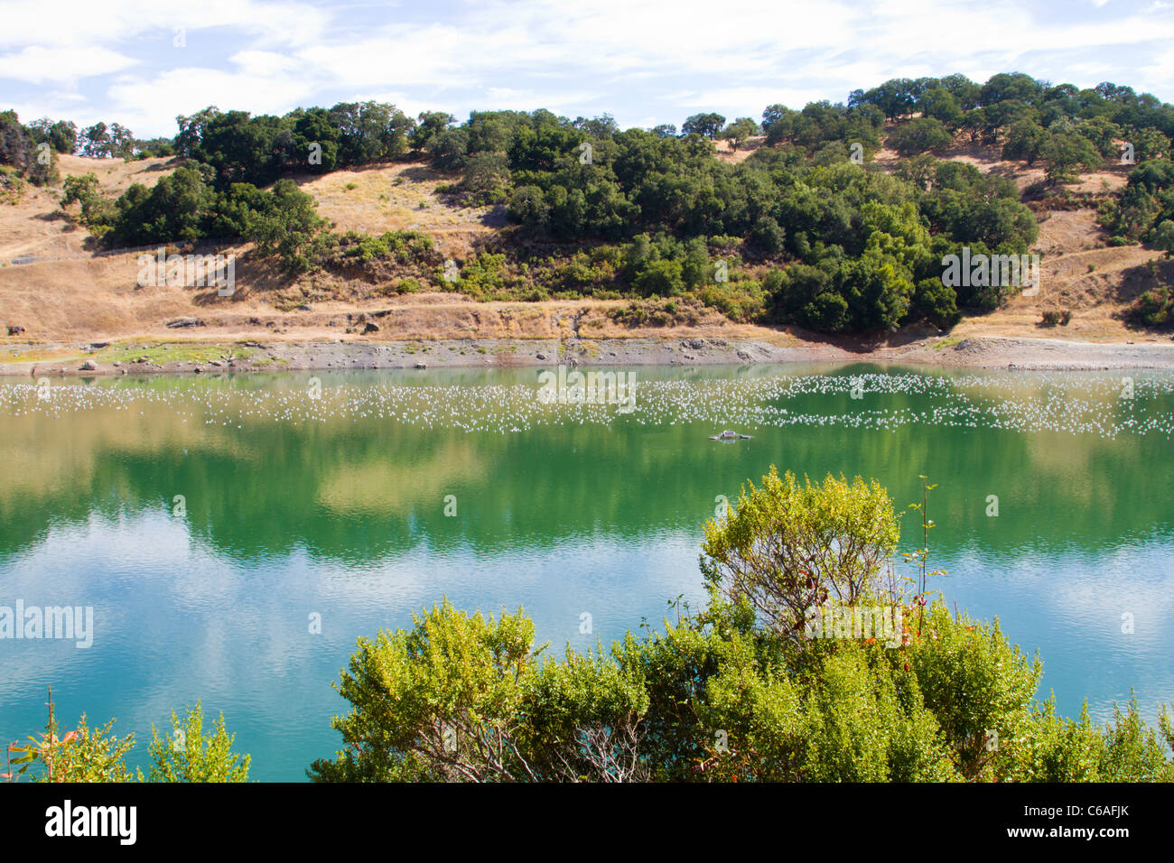 Almaden hi-res stock photography and images - Alamy