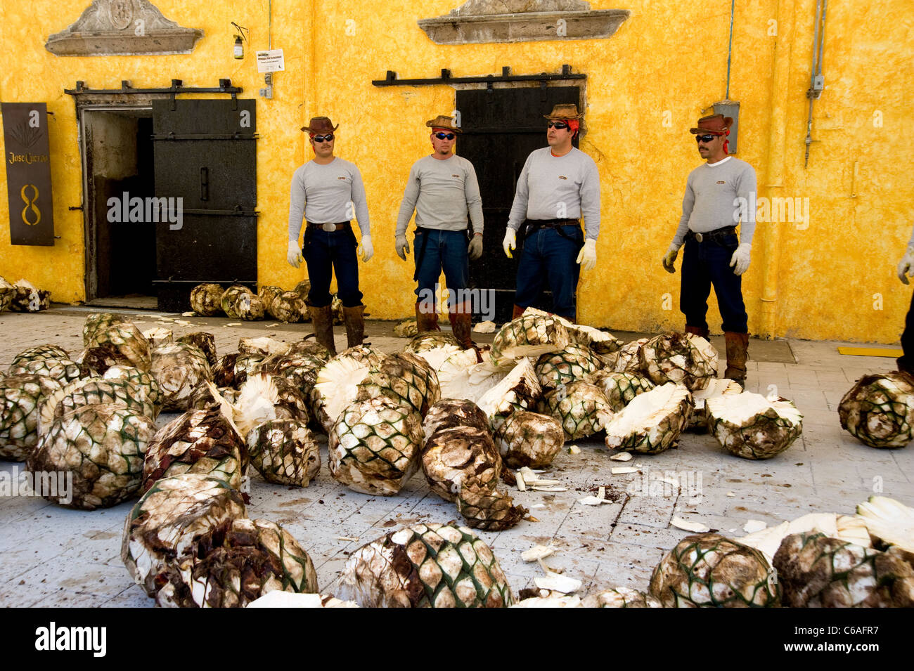 Workers at Jose Cuervo Plant in Tequila Stock Photo - Alamy