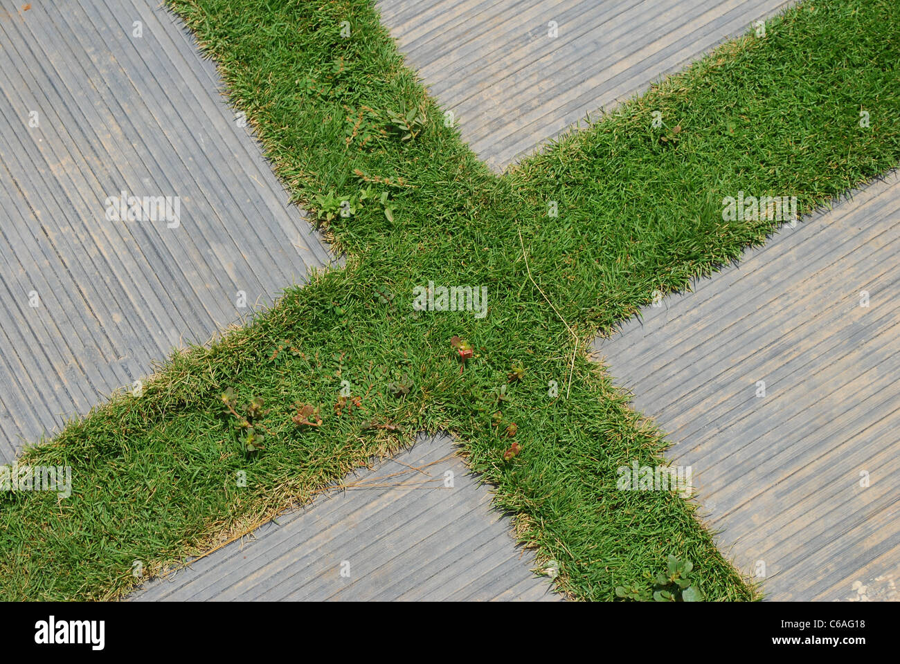 Grass Tiles High Resolution Stock Photography and Images - Alamy