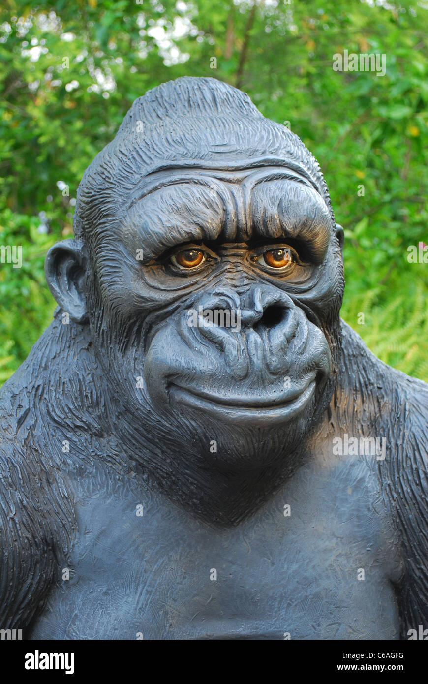 Close up gorilla hi-res stock photography and images - Alamy