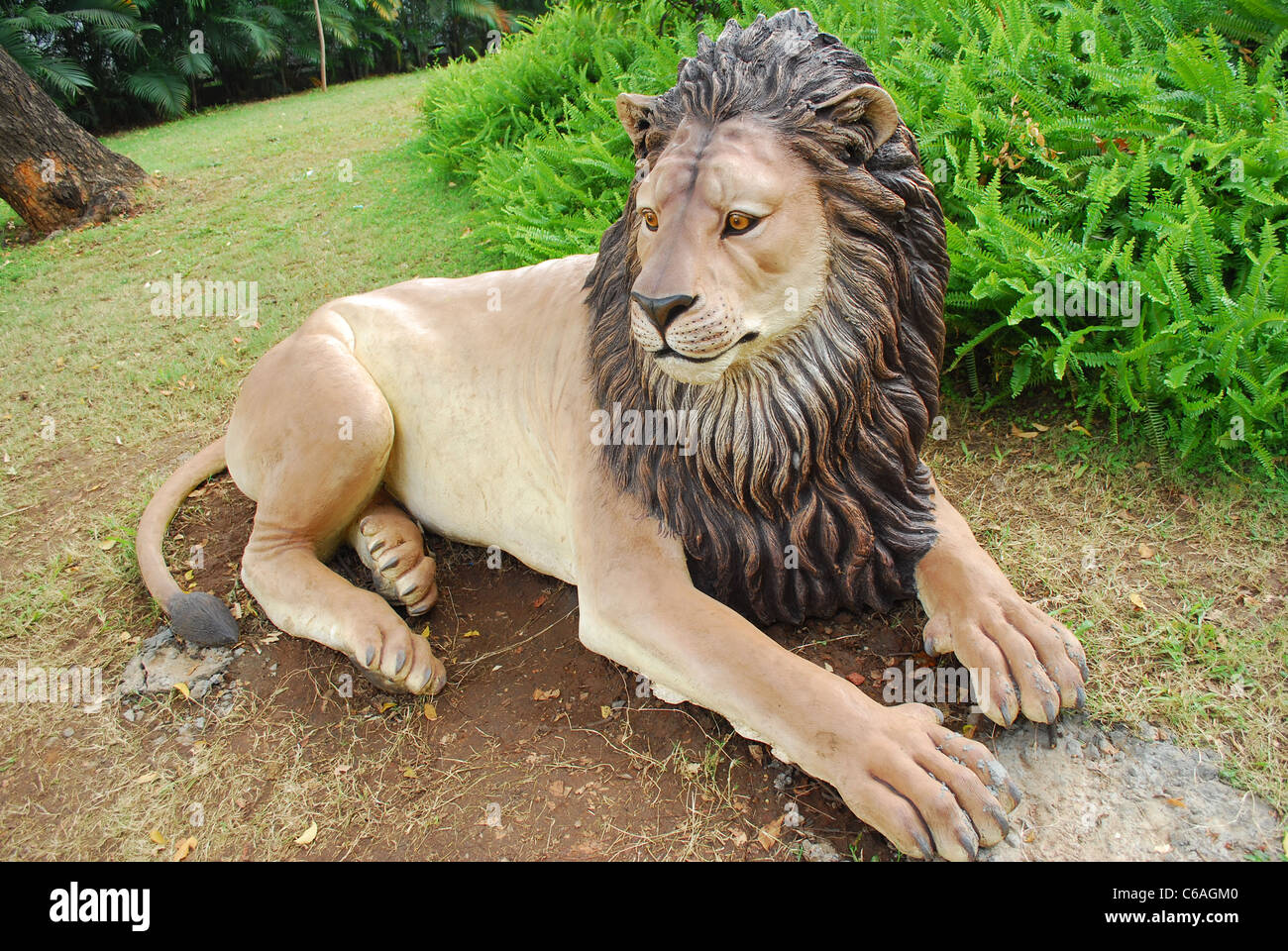 Fiber lion hi-res stock photography and images - Alamy