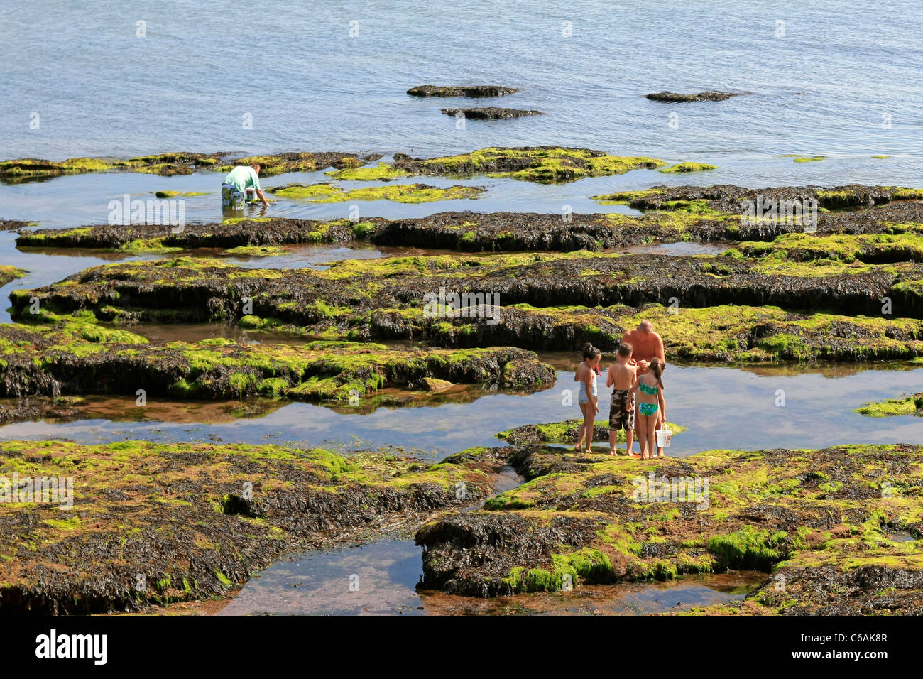 Fishing in rock pools hi-res stock photography and images - Alamy