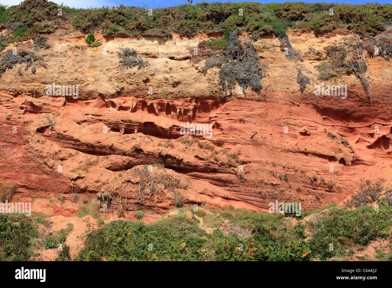Red Desert Permian Rock Strata made up of Breccia and Sandstone Stock ...
