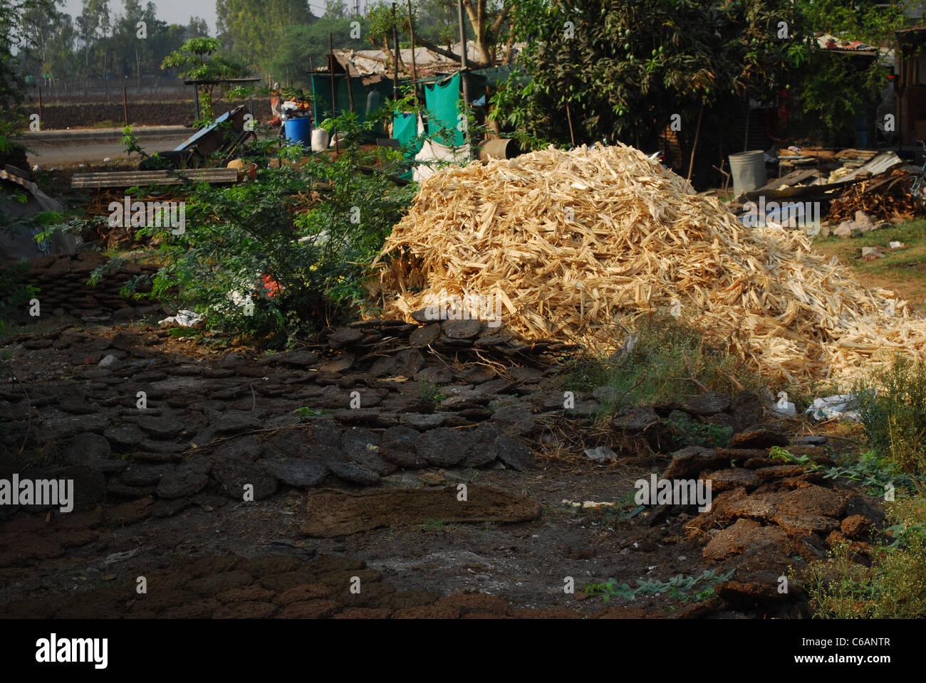 Buffalo dung hi-res stock photography and images - Alamy