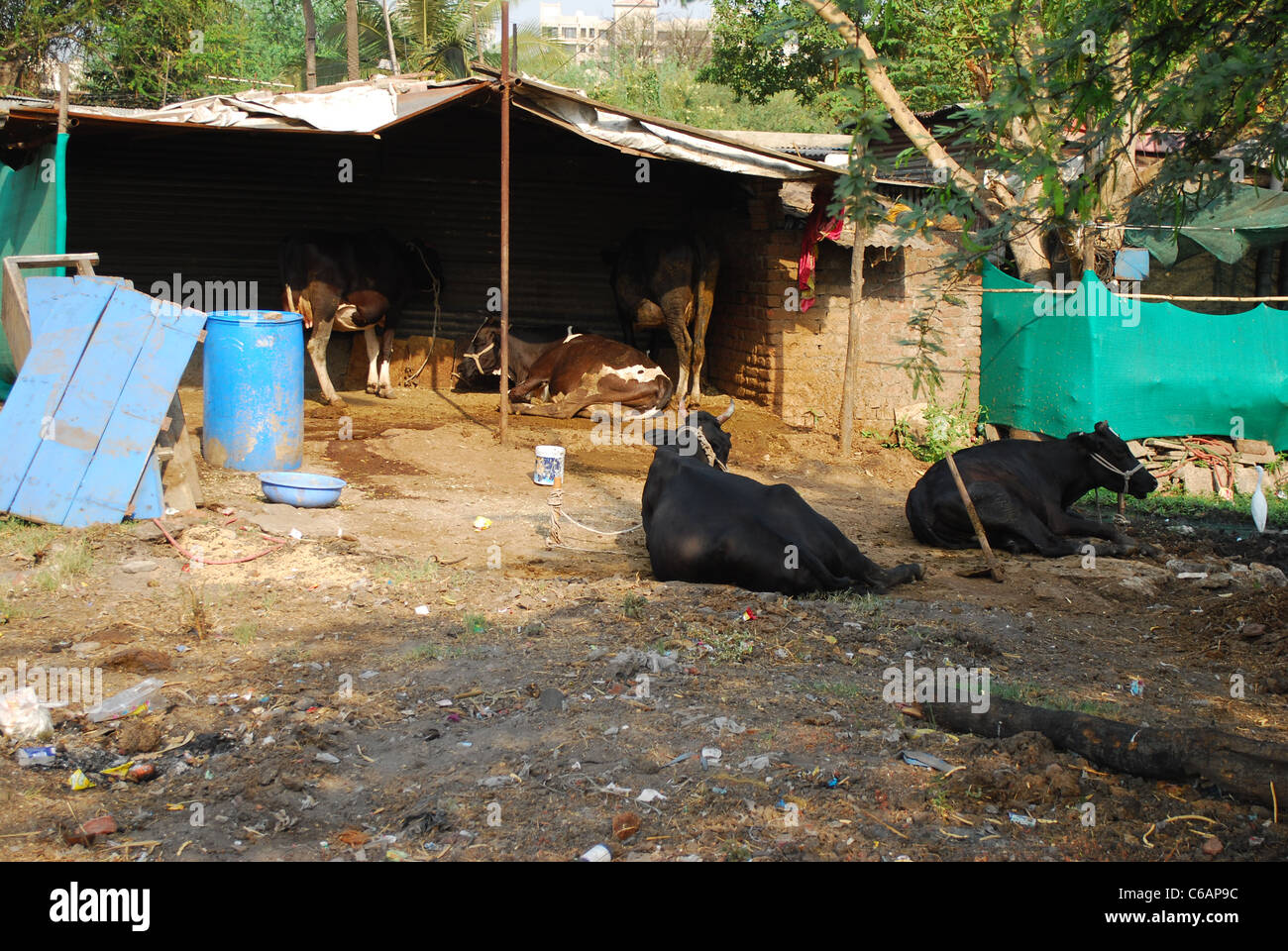 Countryside village life hi-res stock photography and images - Alamy