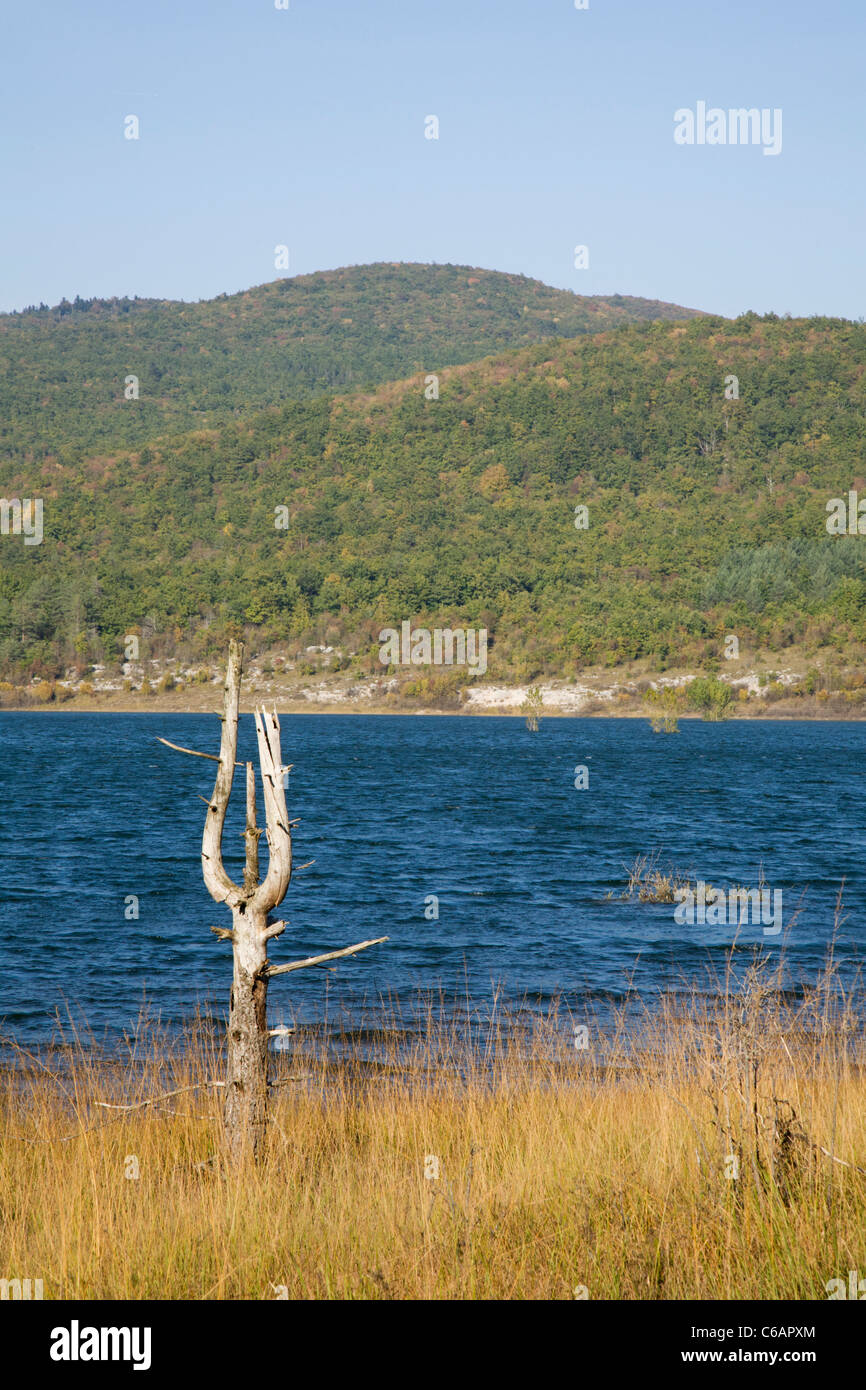Palsko Lake, Pivka lakes, Slovenia Stock Photo - Alamy