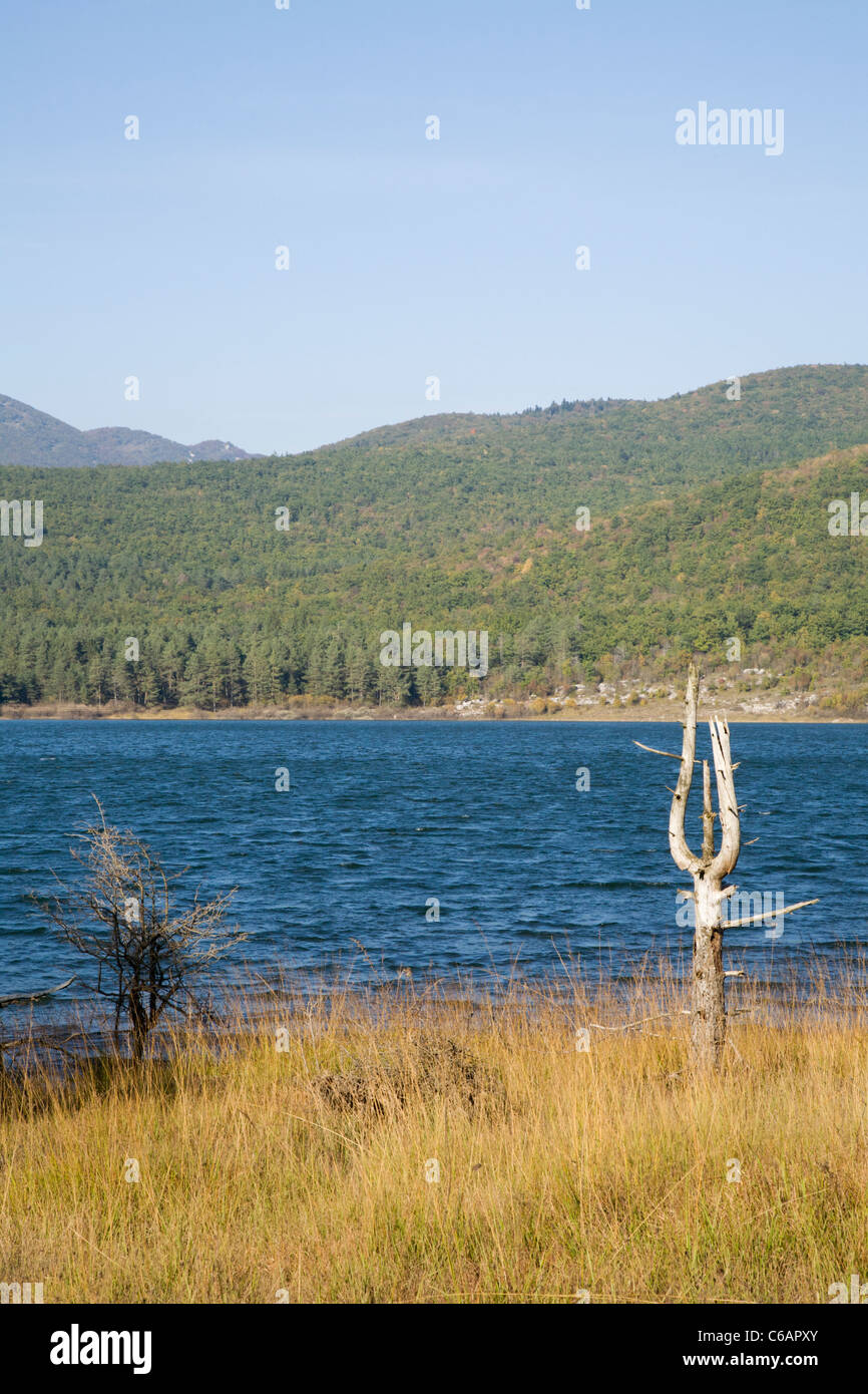 Palsko Lake, Pivka lakes, Slovenia Stock Photo - Alamy