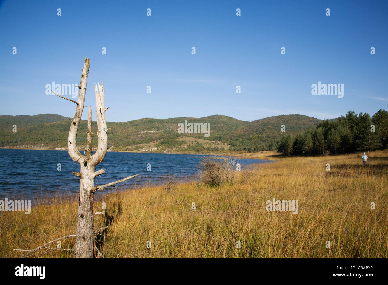 Palsko Lake, Pivka lakes, Slovenia Stock Photo - Alamy
