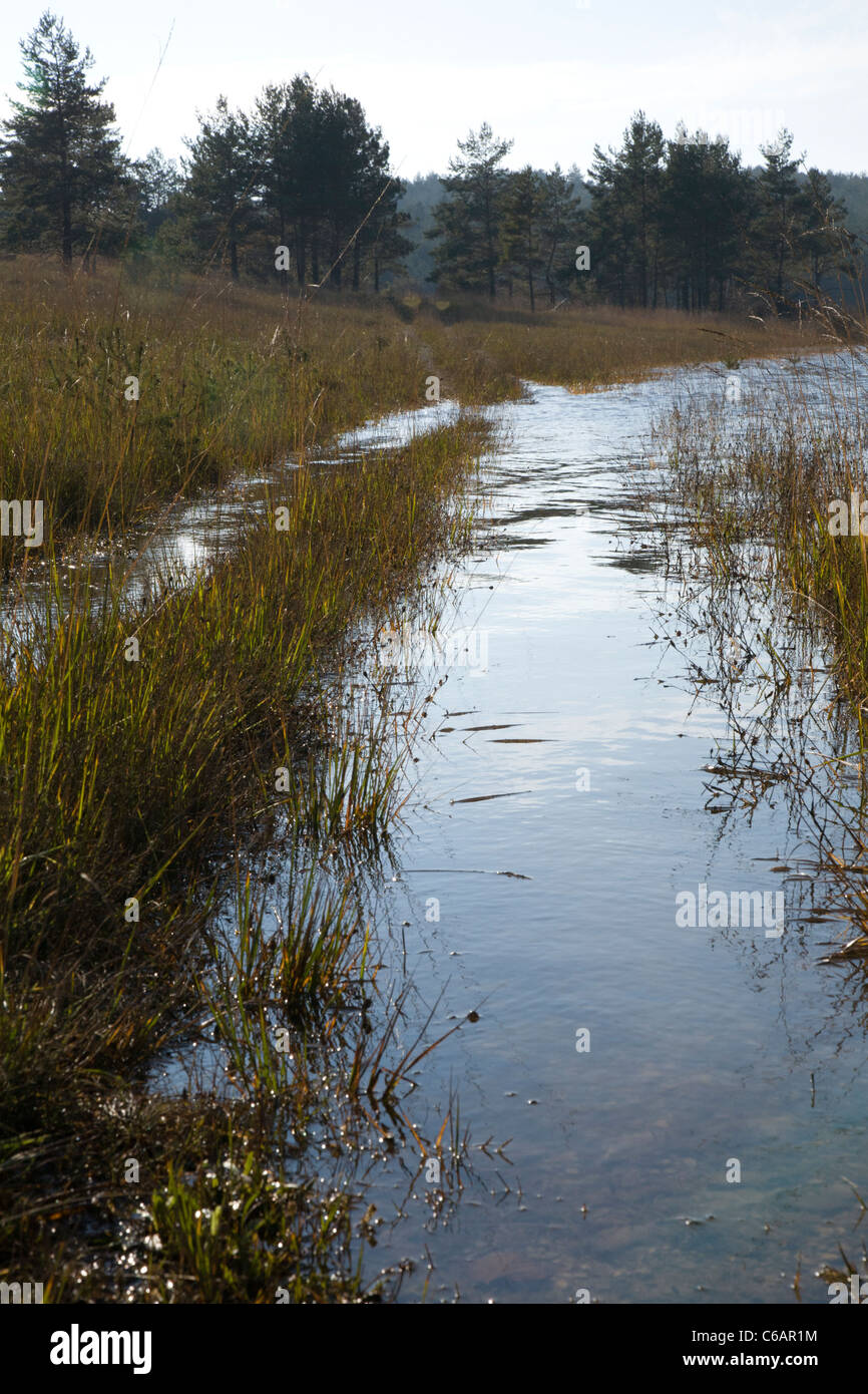 Palsko Lake, Pivka lakes, Slovenia Stock Photo - Alamy