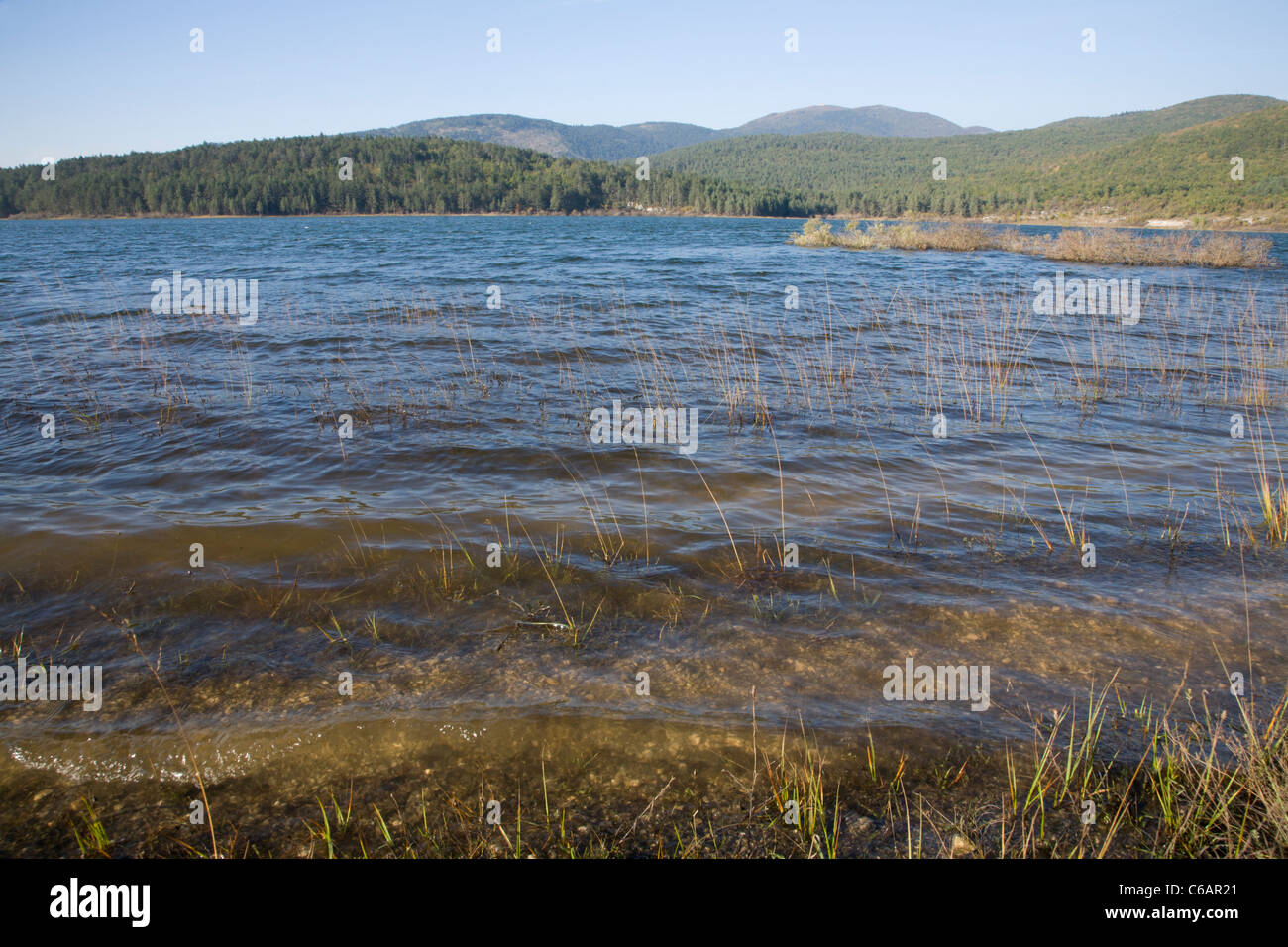 Palsko Lake, Pivka lakes, Slovenia Stock Photo - Alamy