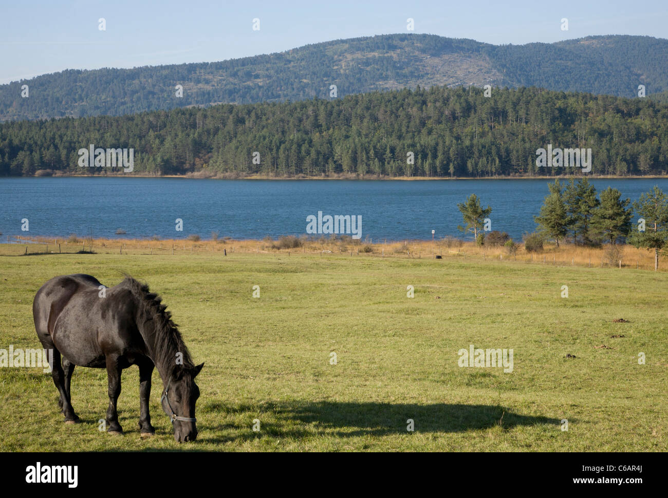 Palsko Lake, Pivka lakes, Slovenia Stock Photo - Alamy