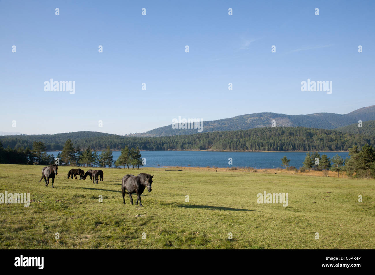 Palsko Lake, Pivka lakes, Slovenia Stock Photo - Alamy