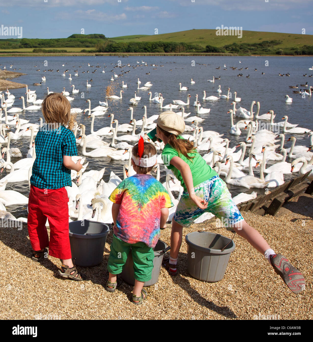 Swanney hi-res stock photography and images - Alamy