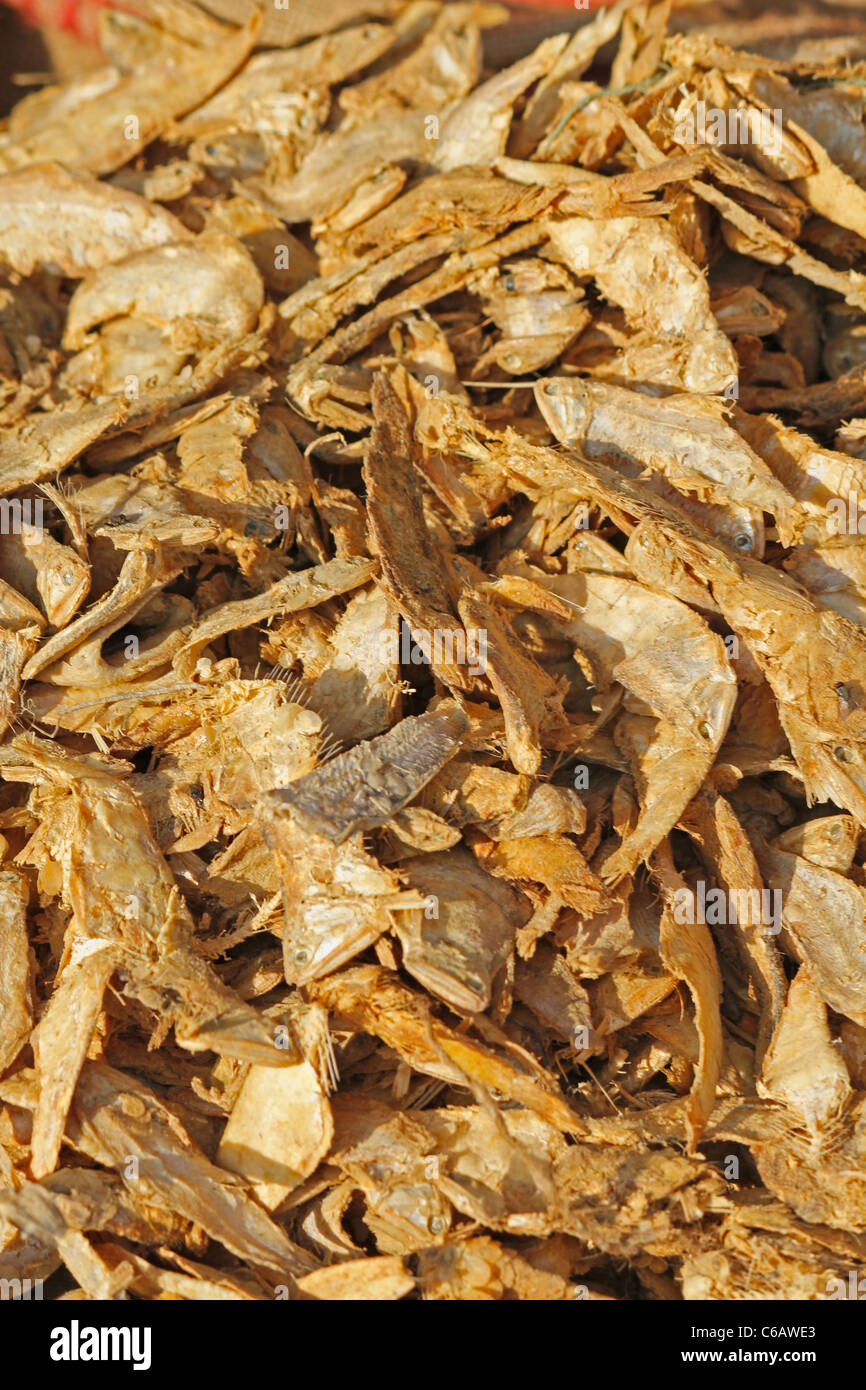Dried fish, Arunachal Pradesh, India Stock Photo - Alamy