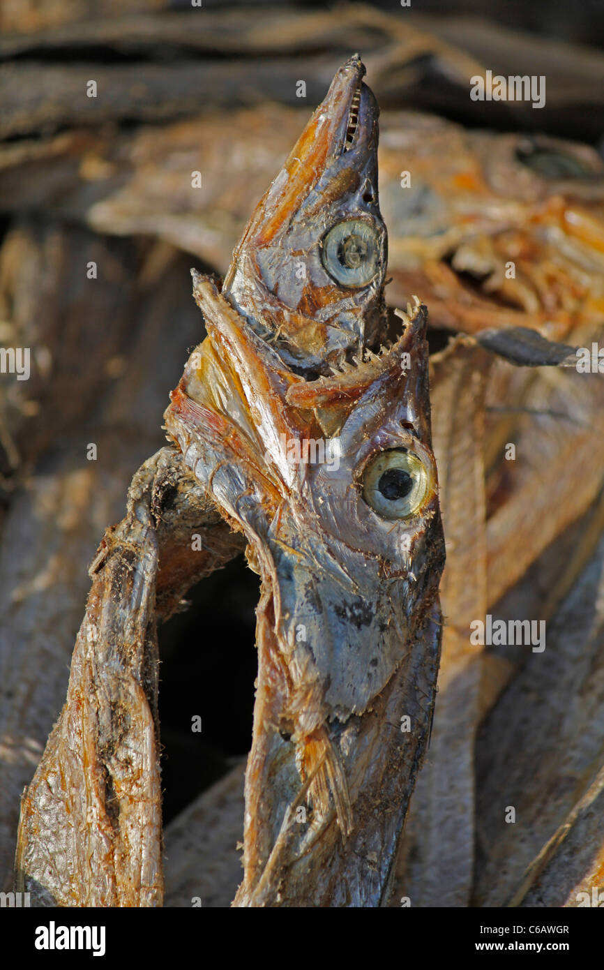 Dried fish, Arunachal Pradesh, India Stock Photo - Alamy