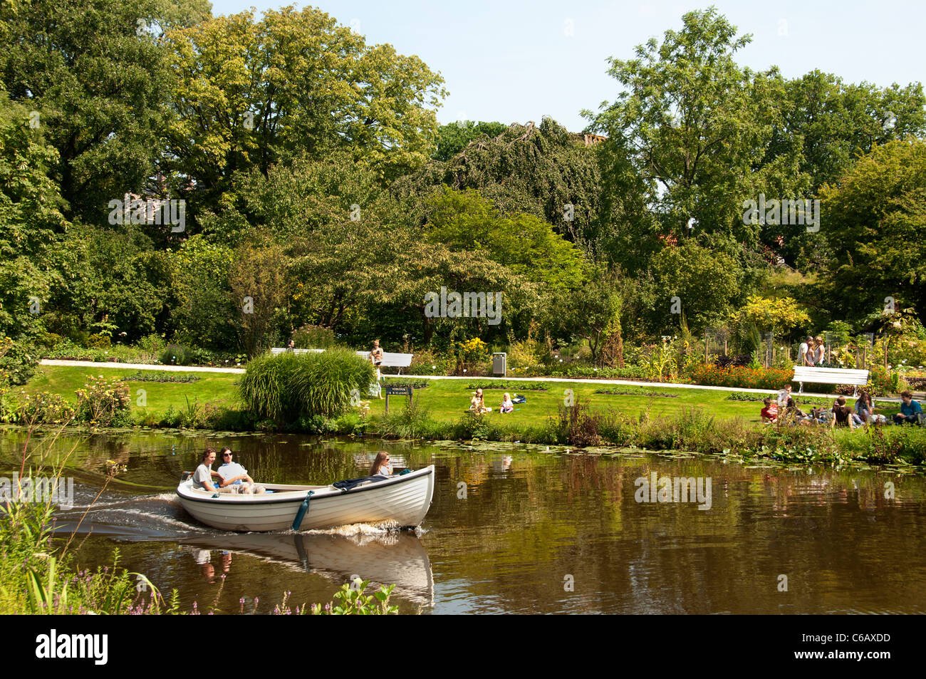 The Hortus University Leiden. Carolus Clusius (1526-1609) medicinal ...