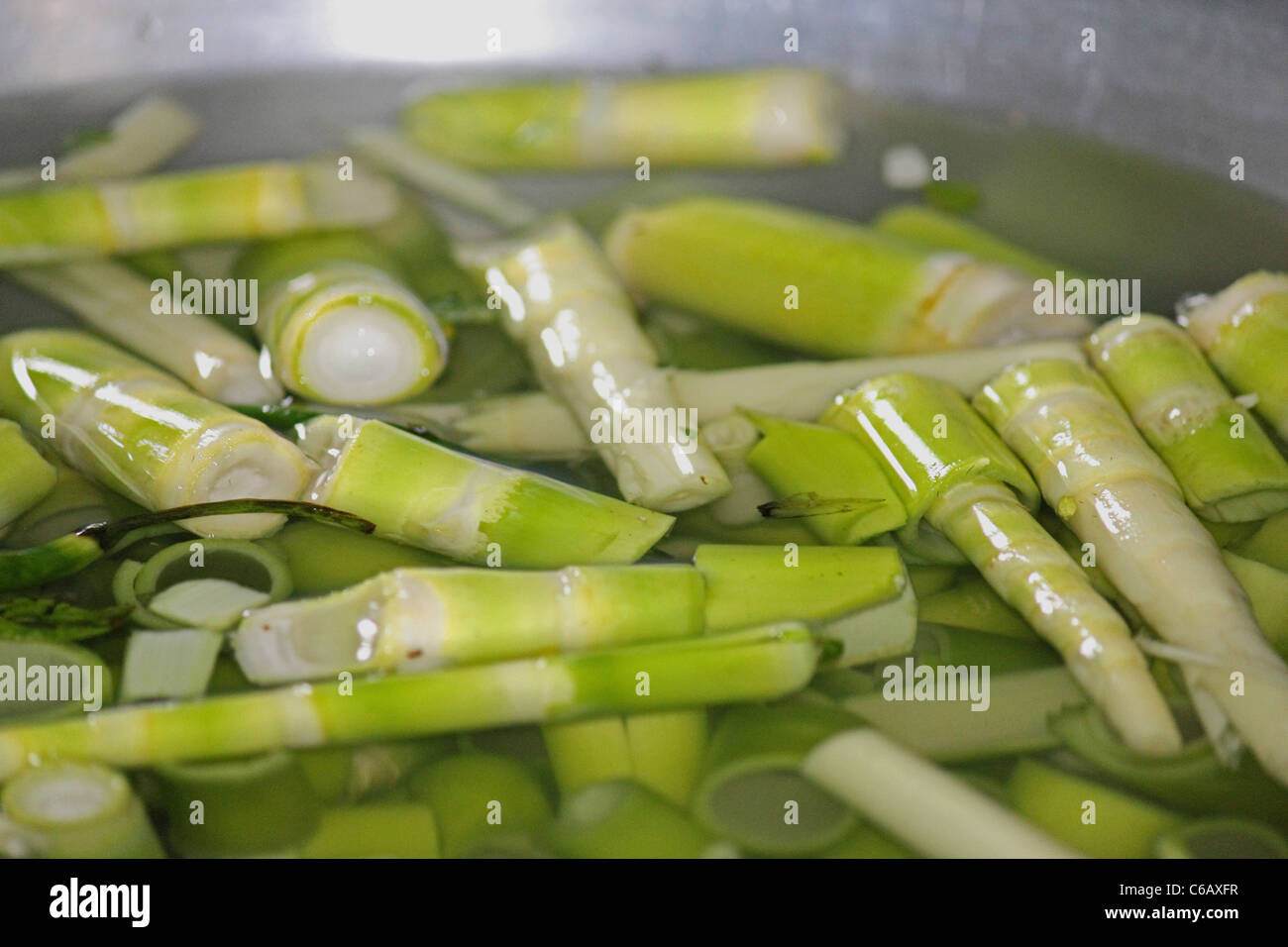 Phyllostachys bambusoides hi-res stock photography and images - Alamy