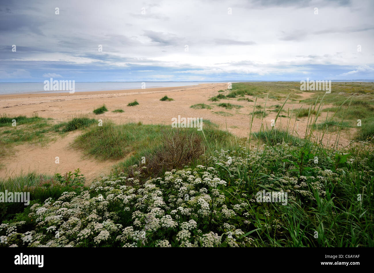 Dornoch Beach High Resolution Stock Photography and Images - Alamy