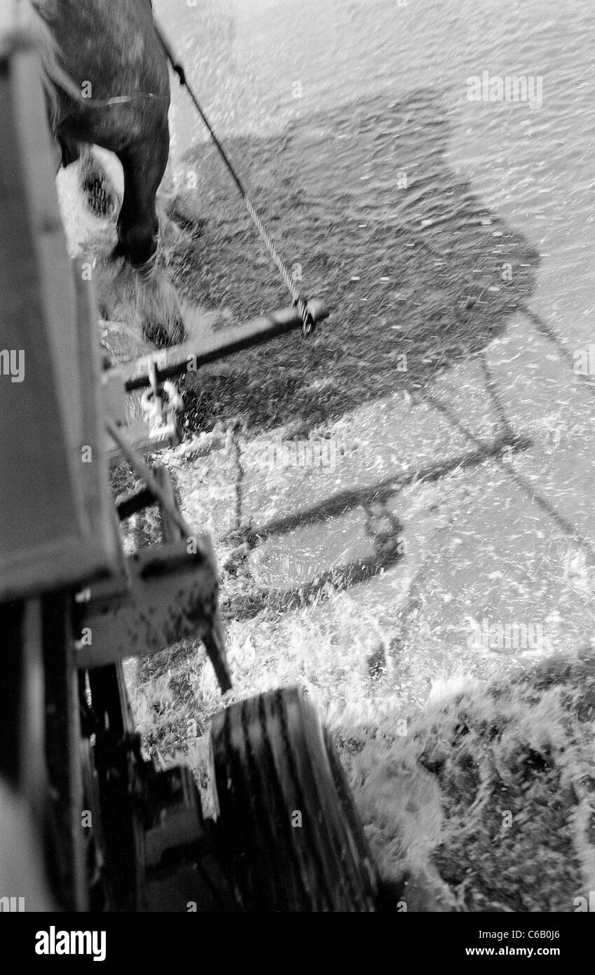 Wattwagen (horse drawn carriage) in the North German mudflats ...