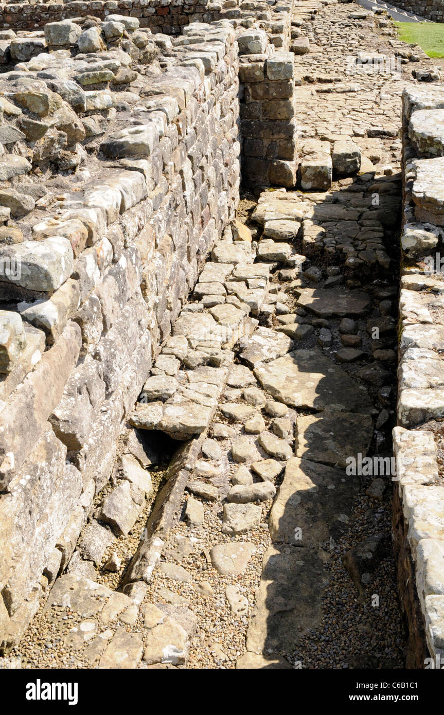 Roman street and drain, Housesteads Roman Fort, Hadrian's Wall ...