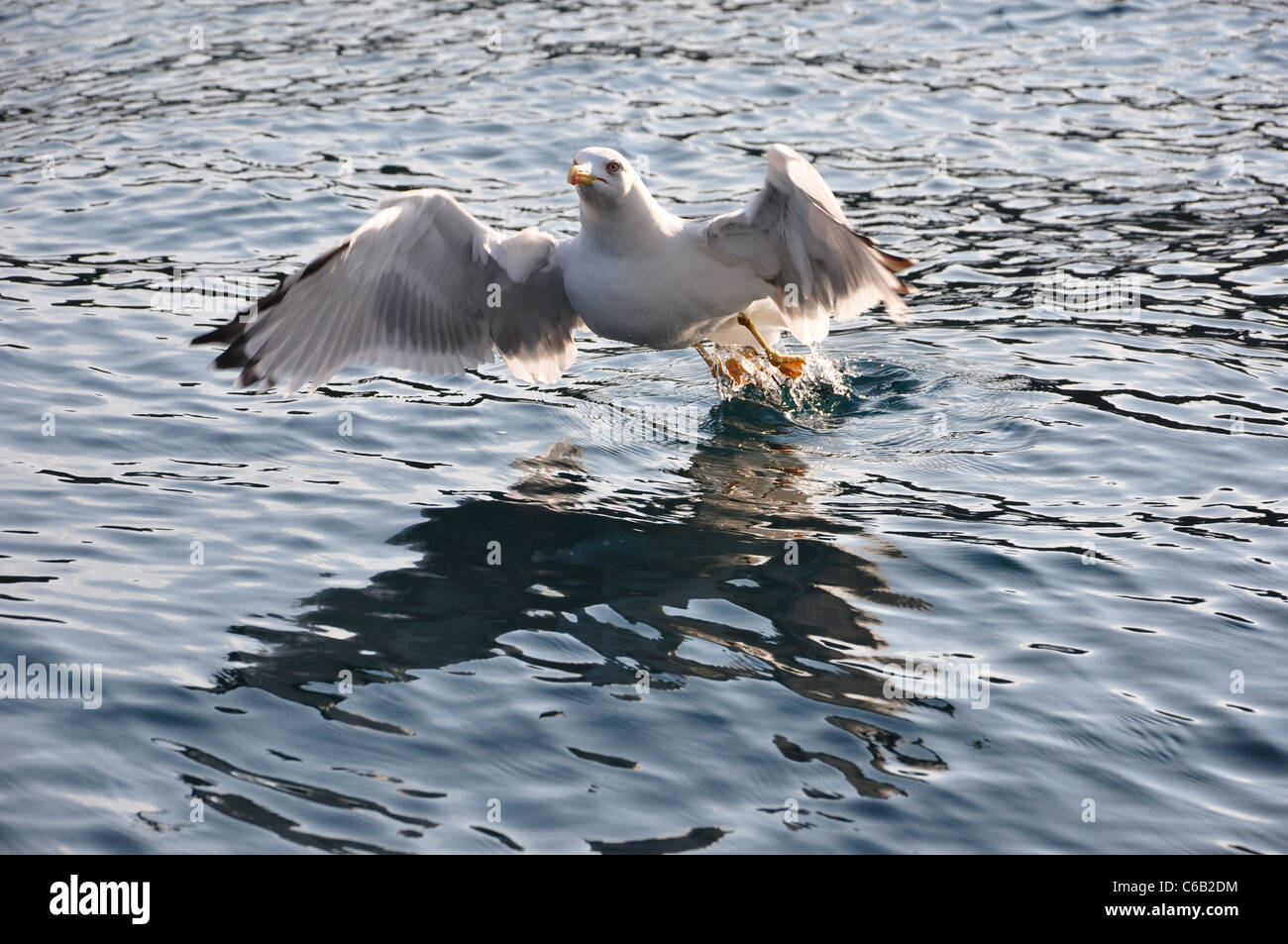 Mediterranean sea off mallorca hi-res stock photography and images - Alamy