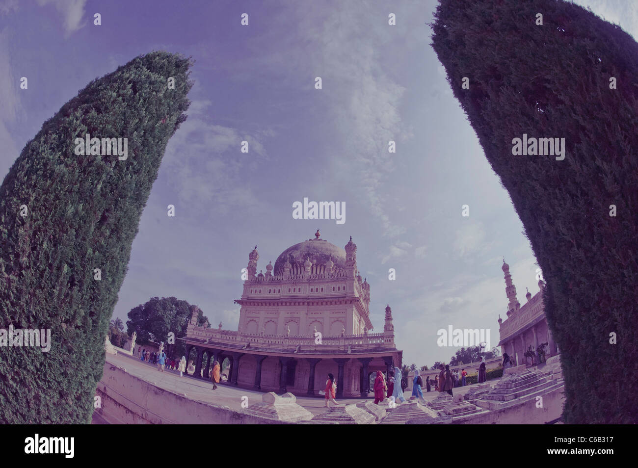 Tipu hi-res stock photography and images - Alamy