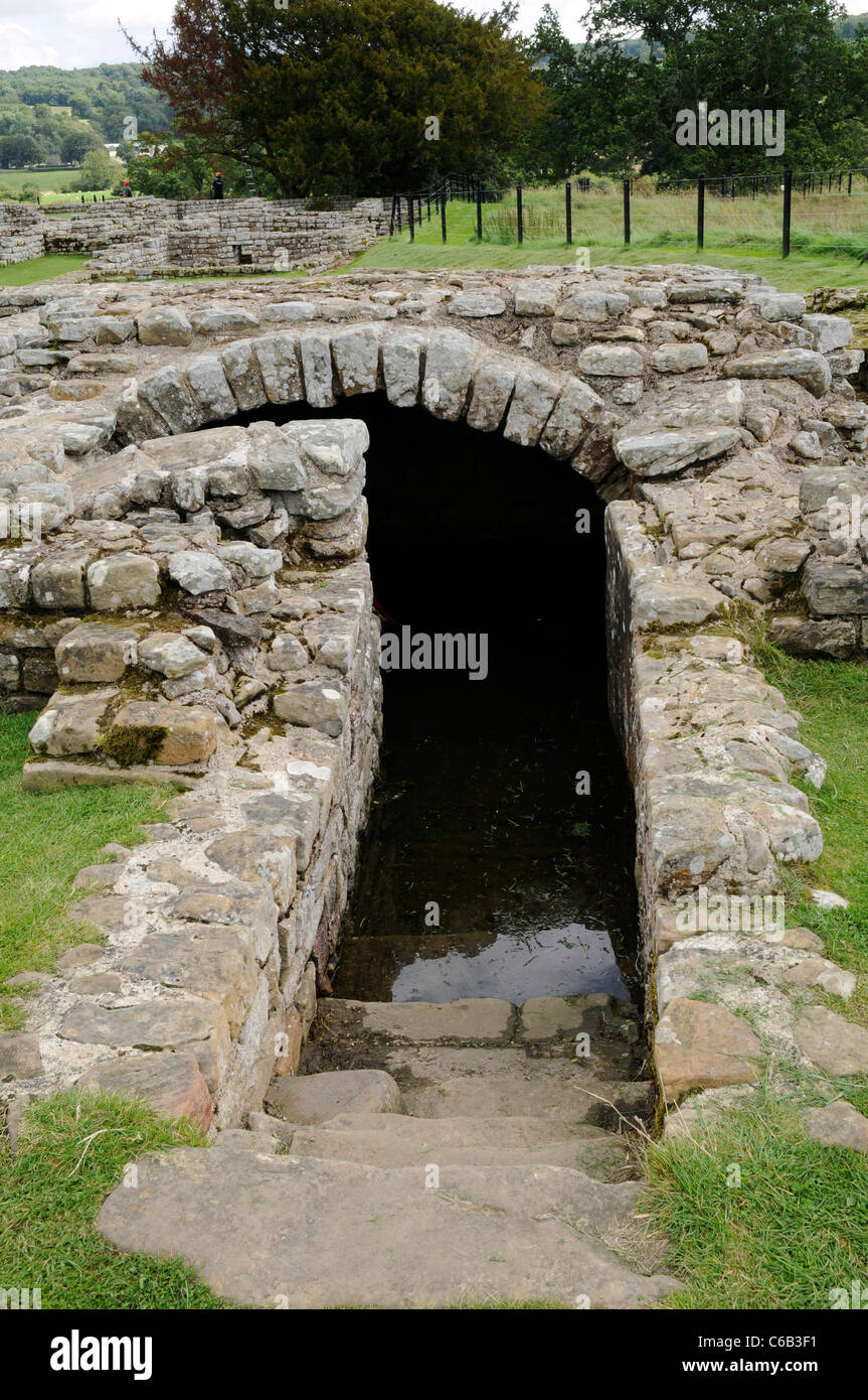 Strongroom chesters roman fort hi-res stock photography and images - Alamy