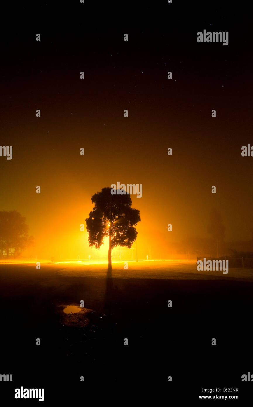 Dark lone tree landscape hi-res stock photography and images - Alamy